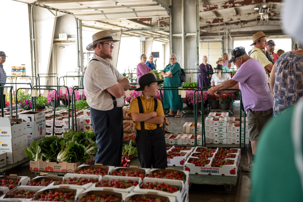 Clearspring Produce Auction in LaGrange, Indiana: Your Source for Fresh ...